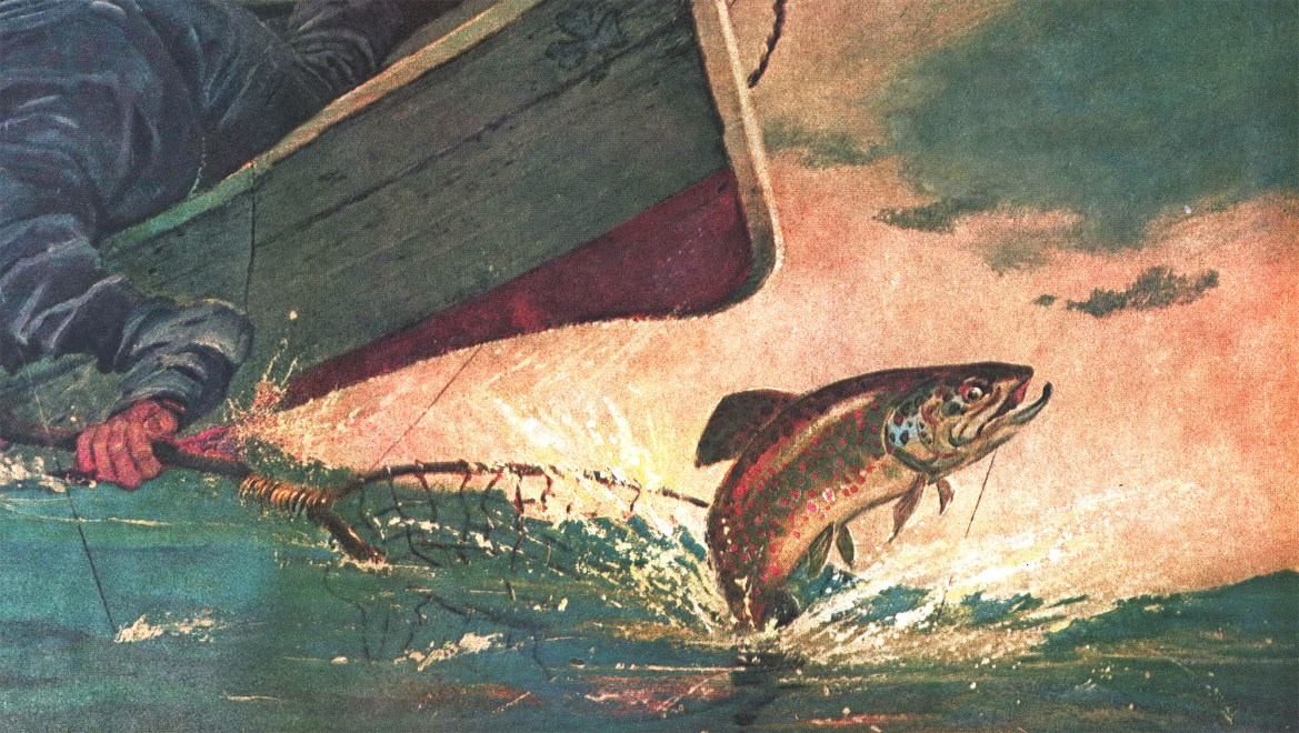 Aaron Martens, Champion and Trend-Setting Pro Bass Angler, Dies at 49 ...