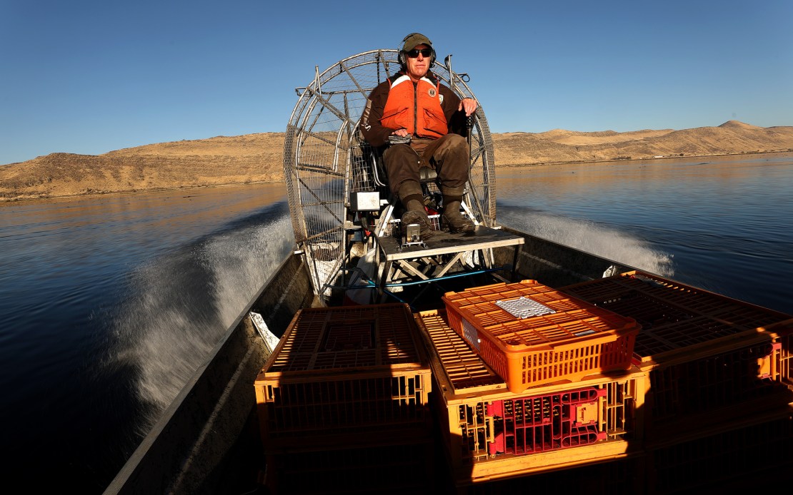 I Think Fizzing Fish Shouldn't Be Controversial. Biologists Agree ...