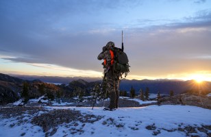 Utah Wants to Prevent Anti-Hunter Takeover by Requiring All Wildlife ...