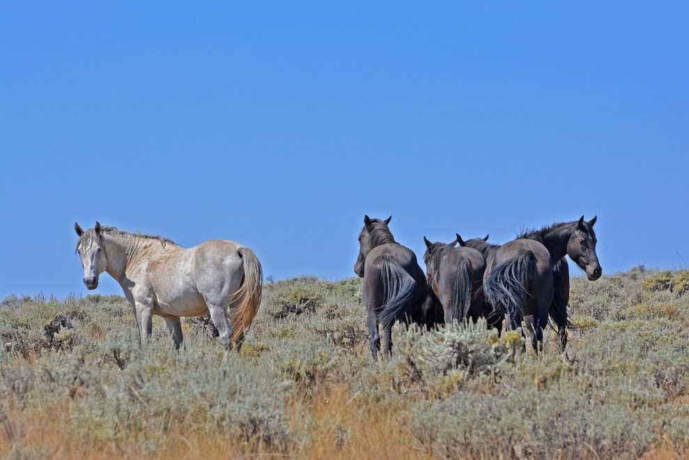 CJ Alexander Pleads Not Guilty to 23 Criminal Charges as Poaching Trial ...