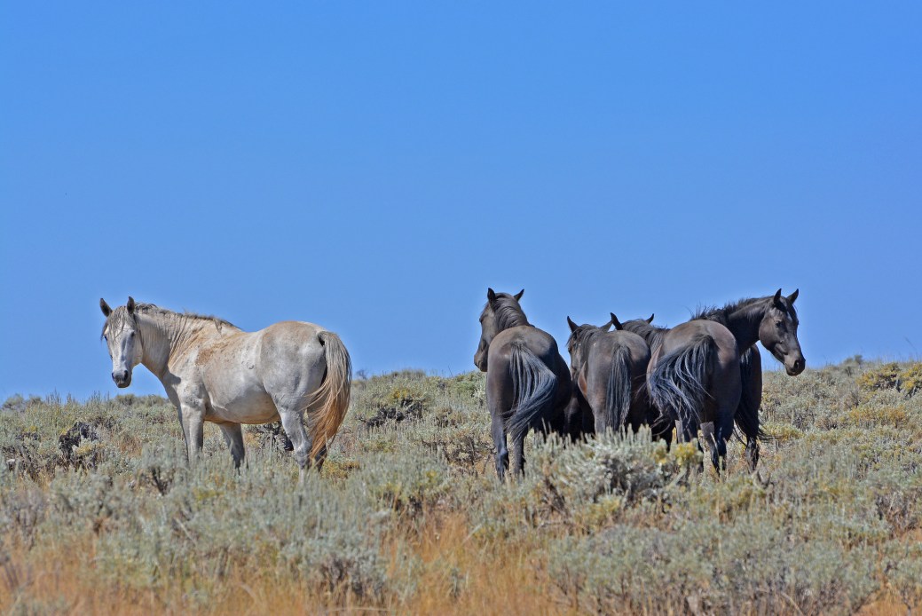 CJ Alexander Pleads Not Guilty to 23 Criminal Charges as Poaching Trial ...