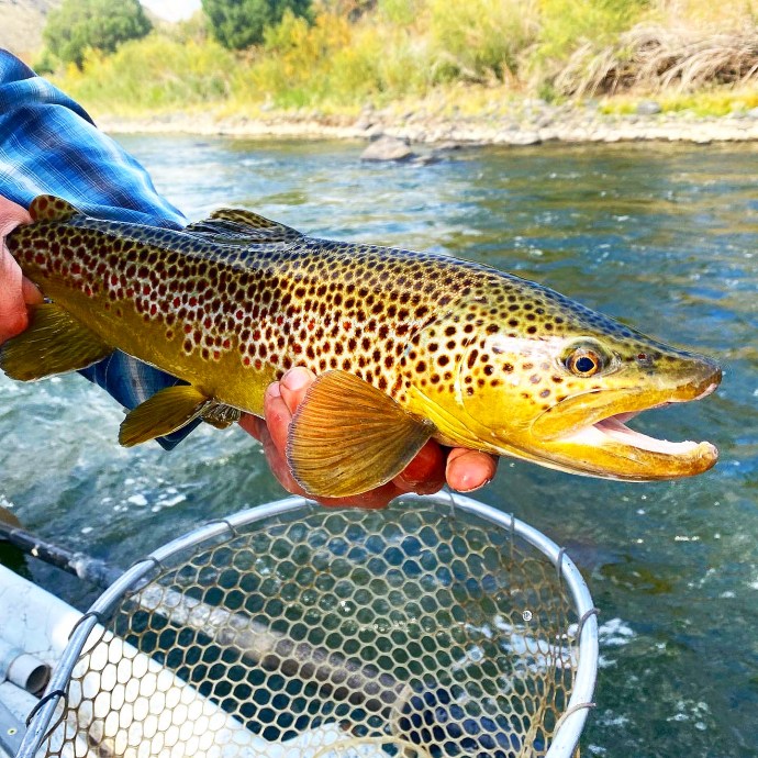 The Best Trout Rods of 2025, Tested and Reviewed | Outdoor Life