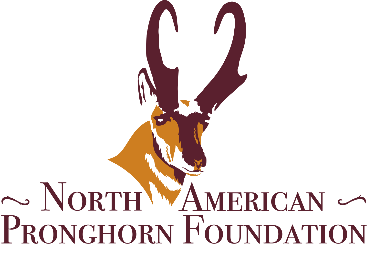 Hunters Are Launching a New Pronghorn Foundation | Outdoor Life
