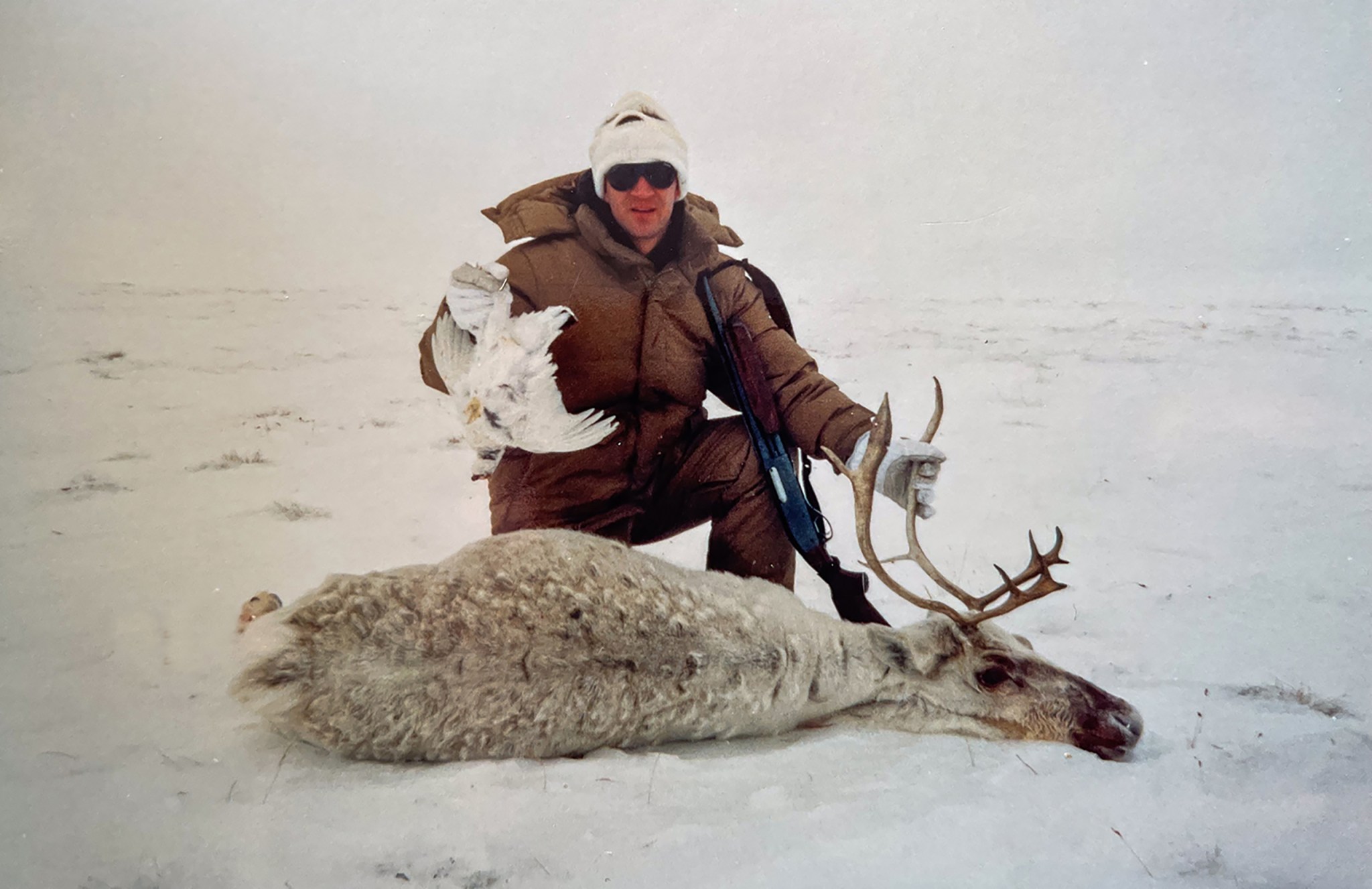 Tales of Spring Subsistence Hunting in the Arctic: Bot Fly Larva ...