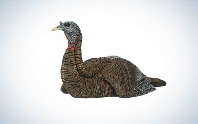 How to Decoy Turkeys, Advanced Tactics with Mark Drury | Outdoor Life