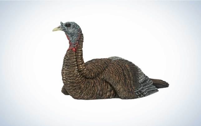 How to Decoy Turkeys, Advanced Tactics with Mark Drury | Outdoor Life