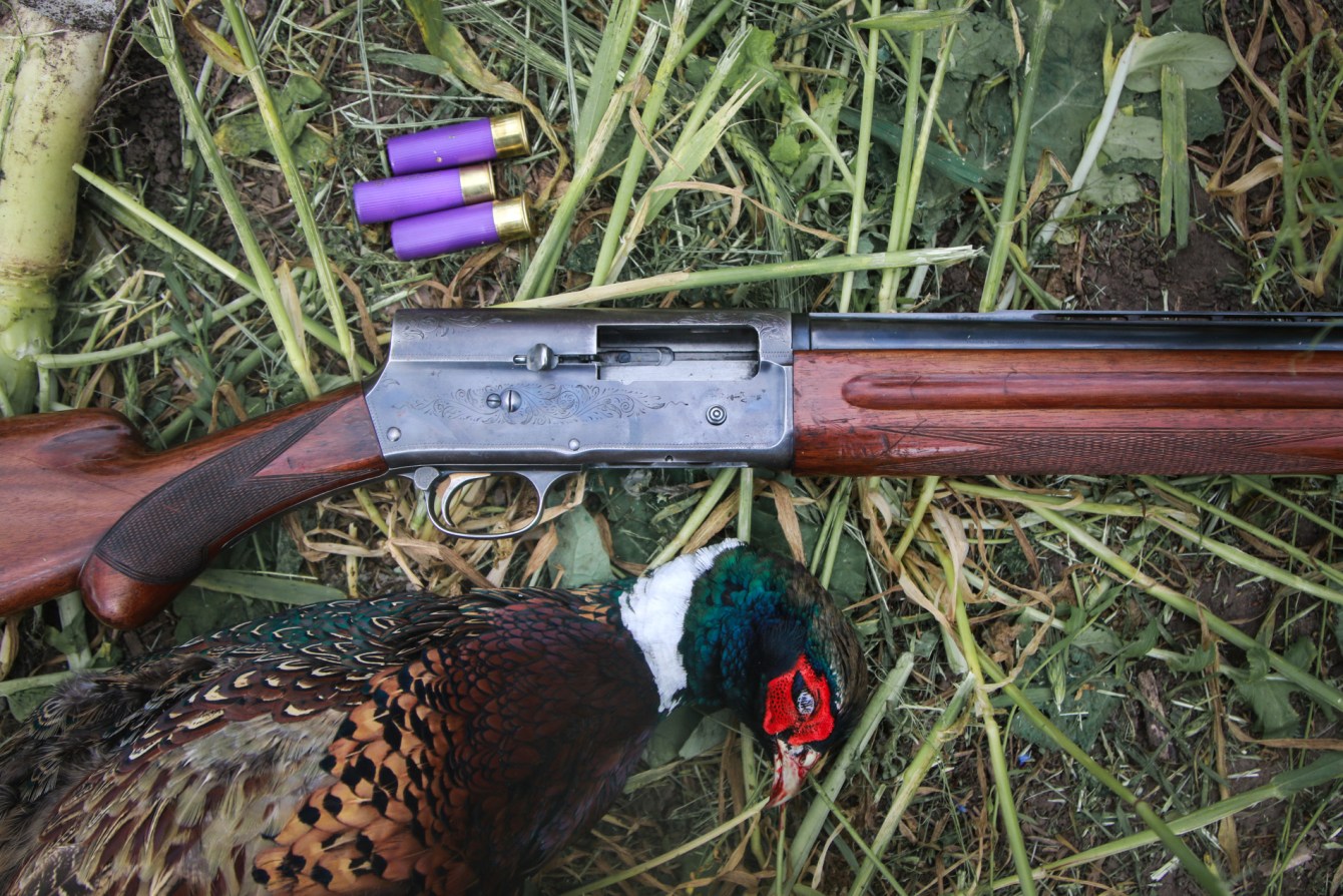 Browning Auto 5 Shotgun Review | Outdoor Life