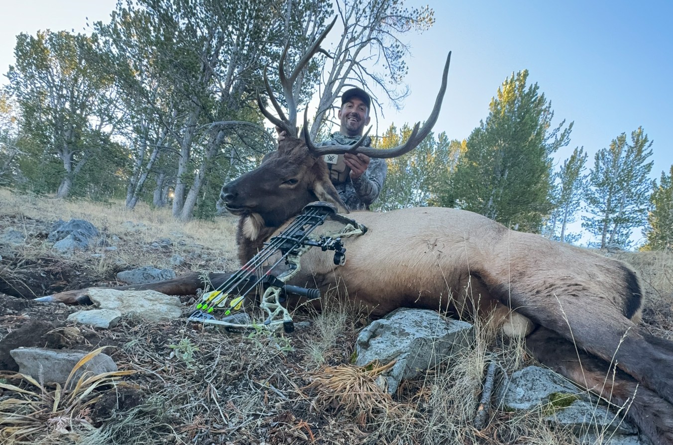 This Happened to Me: I Severed My Artery While Quartering an Elk and ...