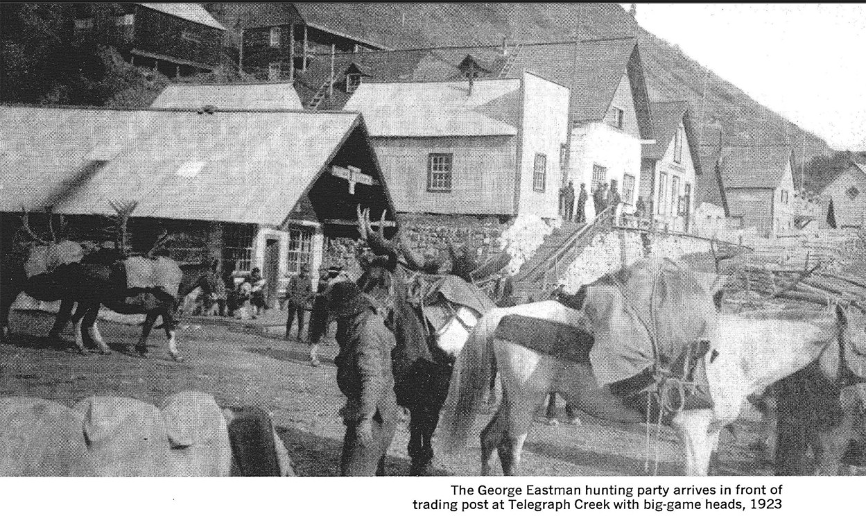 I Was Trapped on a Cliff, Staring Down a Charging Grizzly | Outdoor Life