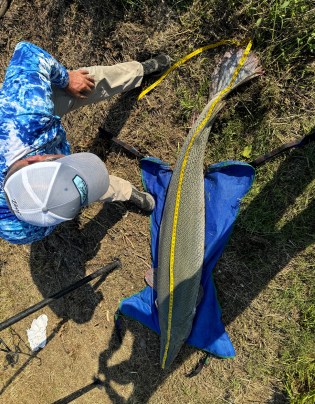 This Is the World-Record Is the Heaviest Freshwater Fish Ever Caught on ...