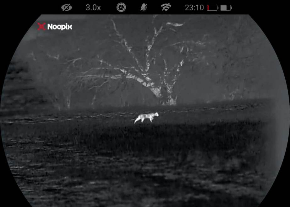 CJ Alexander Pleads Guilty to 14 Charges Related to Poaching Giant Ohio ...
