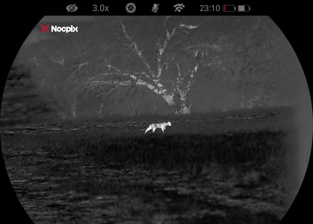 CJ Alexander Pleads Guilty to 14 Charges Related to Poaching Giant Ohio Buck | Outdoor Life