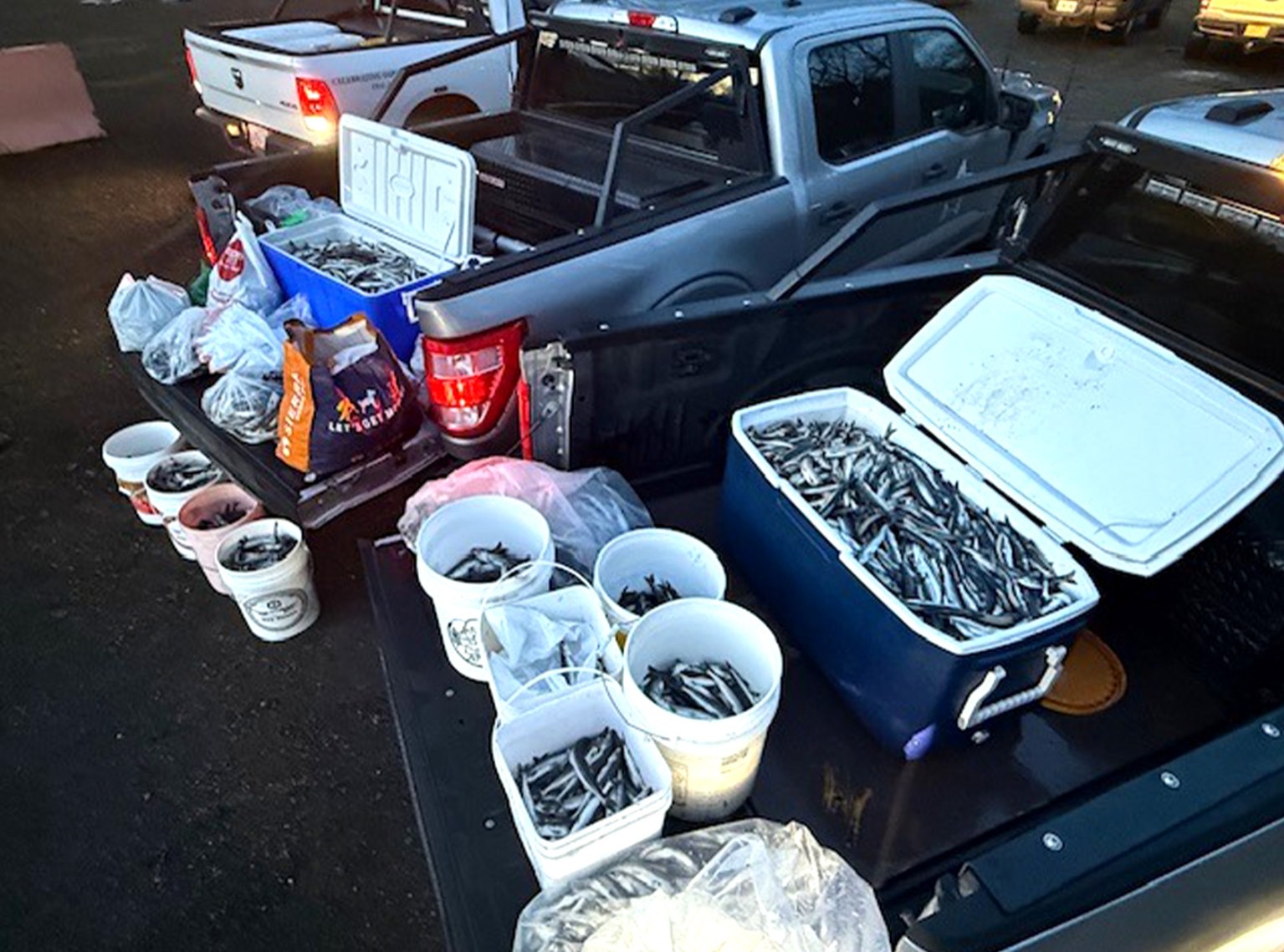 Oregon's 7-Hour Fishing Season Ends with 2,500 Pounds of Illegally ...