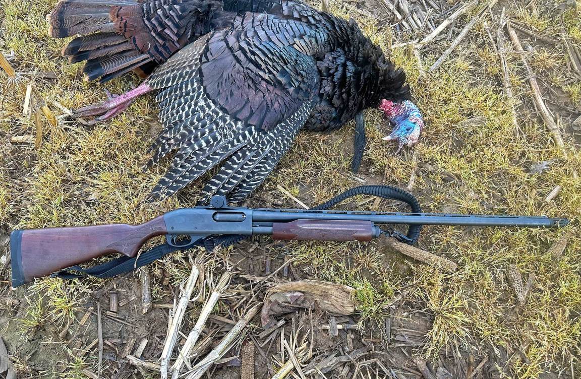 The Best Red Dots for Shotguns of 2025, Tested and Reviewed | Outdoor Life