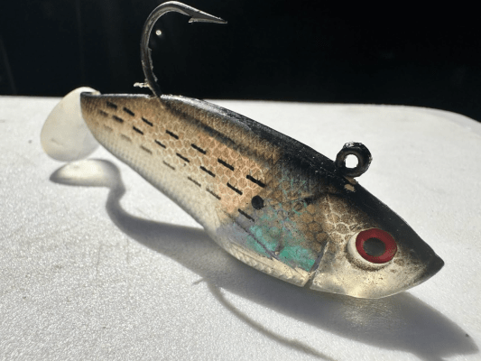 The Best Saltwater Lures | Outdoor Life