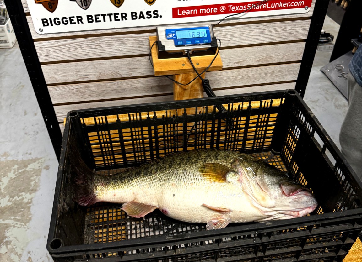 Oklahoma Fisherman Lands One of the 20 Biggest Bass in Texas History ...
