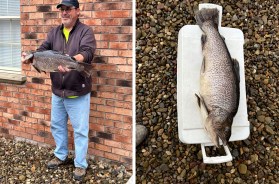 Father-Son Fishing Trip Nets a New State-Record Tiger Trout in West ...