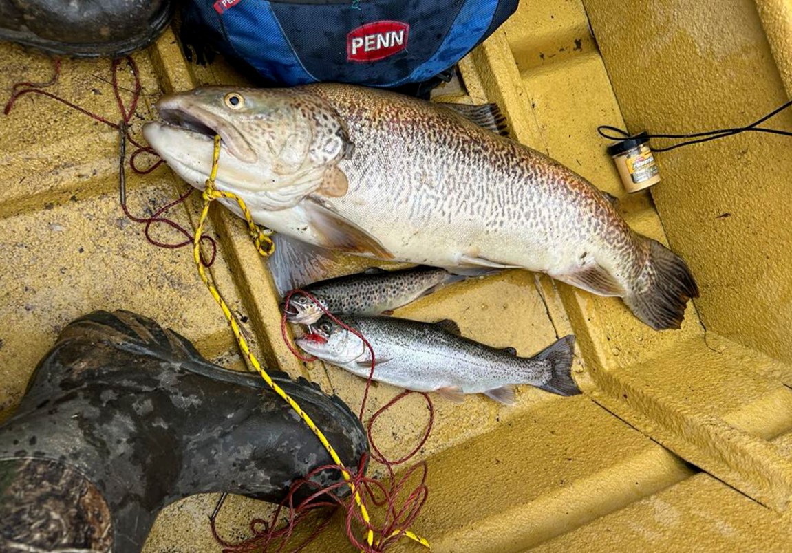 Father-Son Fishing Trip Nets a New State-Record Tiger Trout in West ...