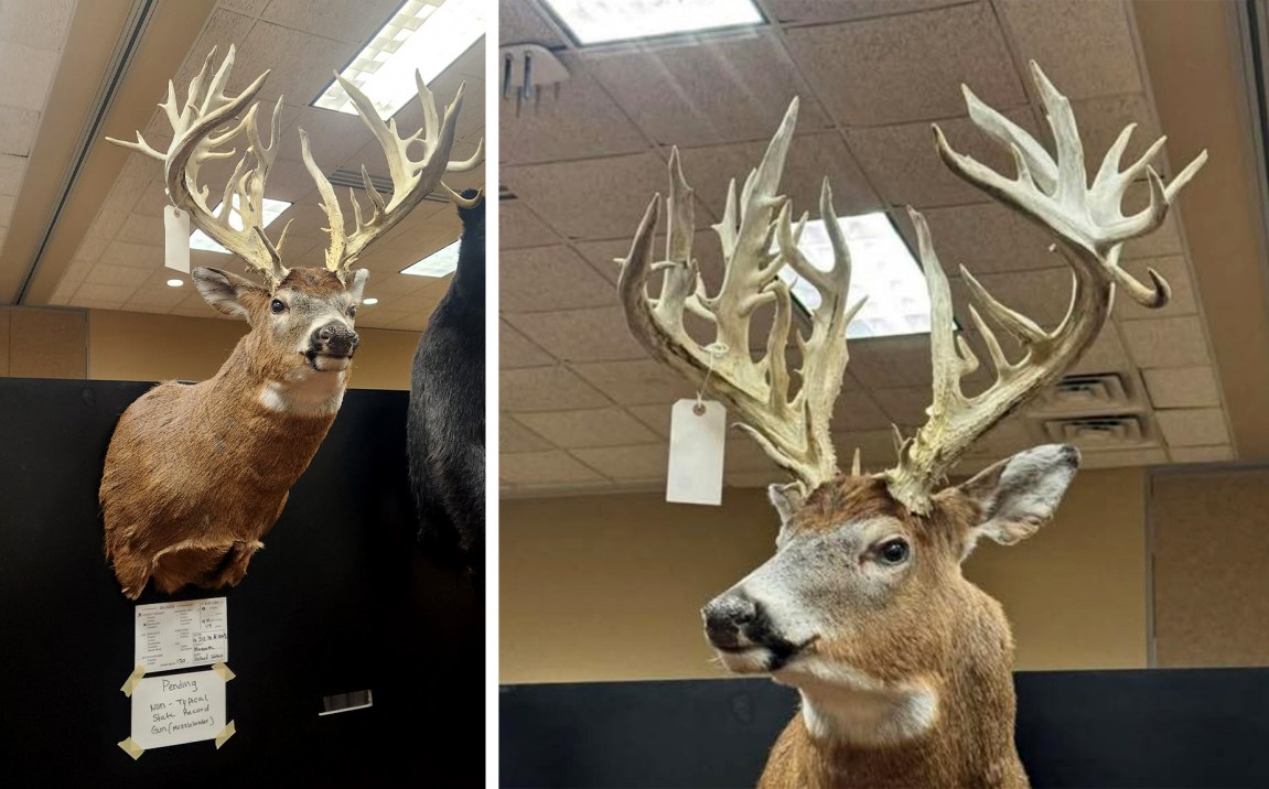 The 5 Most Controversial Trophy Bucks in Recent History | Outdoor Life