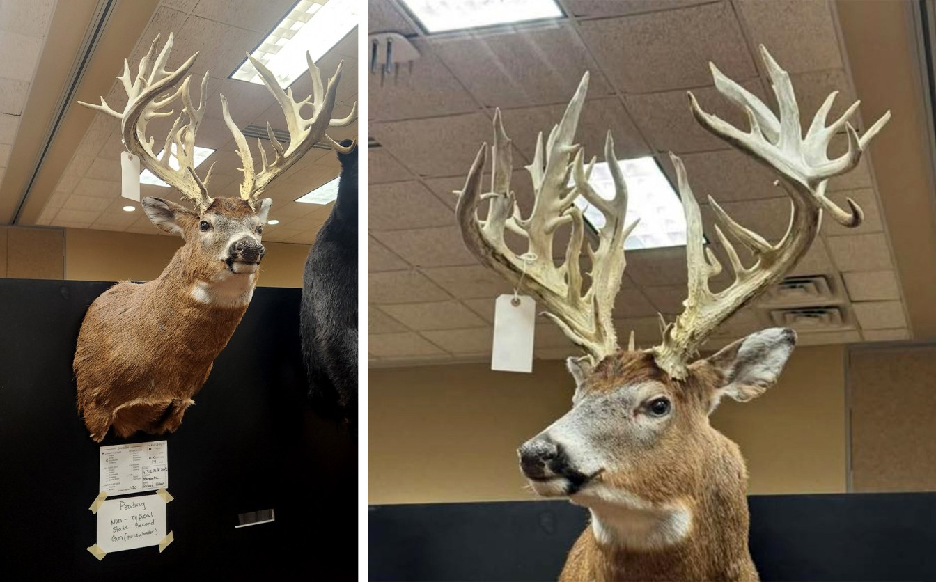 This 49-Point Buck Was Promoted as a New State Record. Critics Say It ...