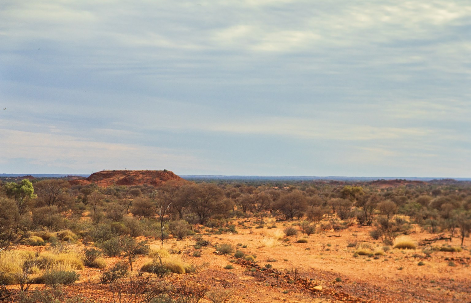 I Hunted Feral Camels In the Australian Outback | Outdoor Life