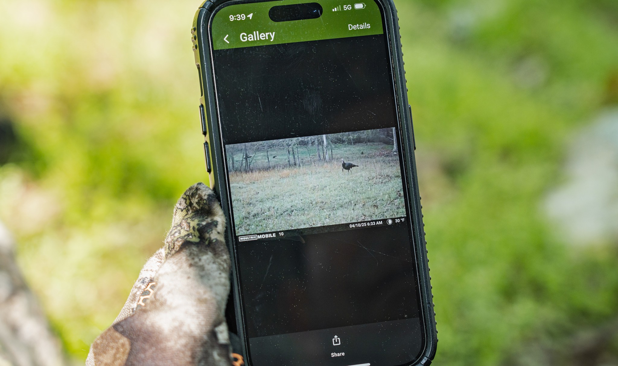 How to Use Trail Cameras for Turkey Hunting | Outdoor Life