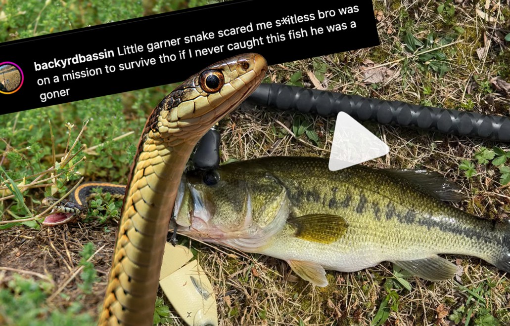 Video: Snake Slithers Out of Bass’ Mouth, Shocks Fisherman | Outdoor Life