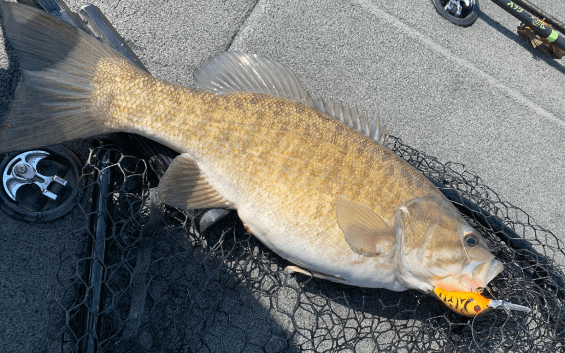 Best Smallmouth Bass Lures of 2024 | Outdoor Life