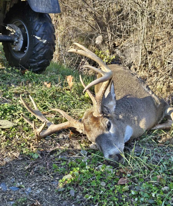 Wisconsin Bowhunter Returns Big Buck to Another Hunter