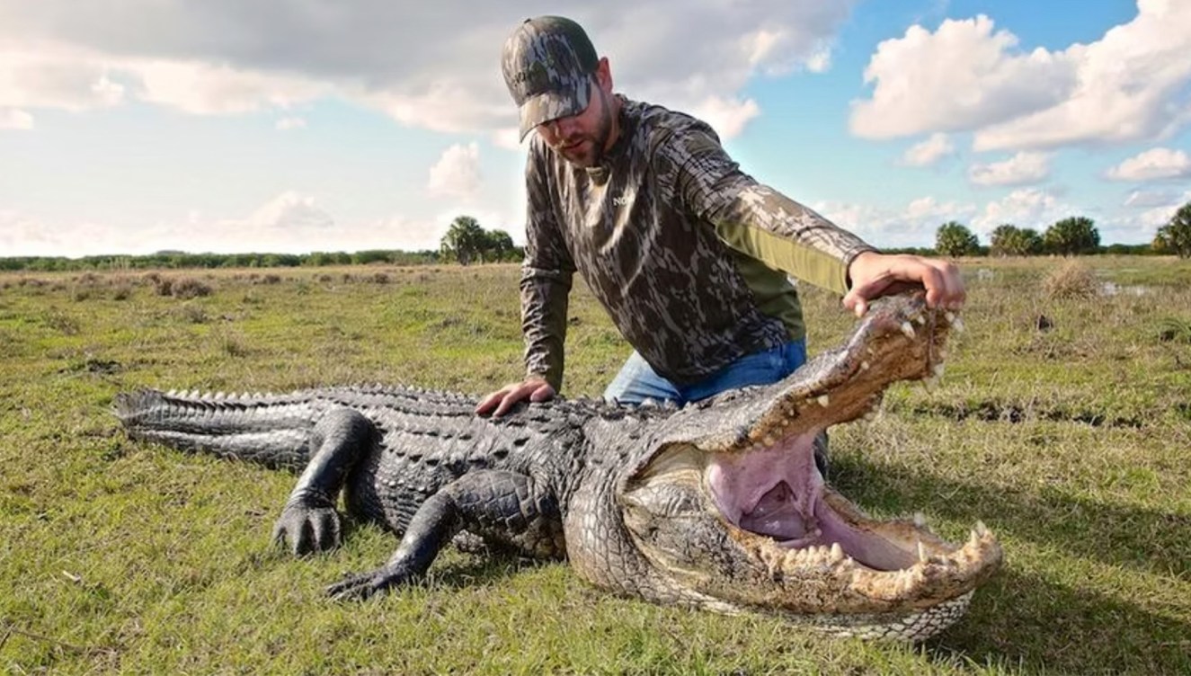 Texas Boot Company Now Offering Gator Hunts