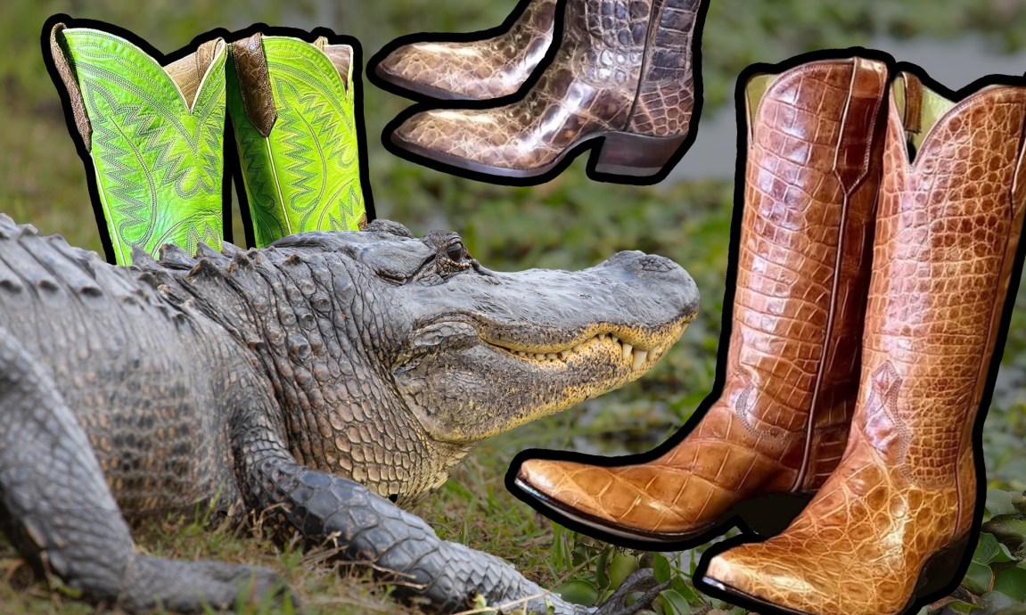 Texas Boot Company Now Offering Gator Hunts