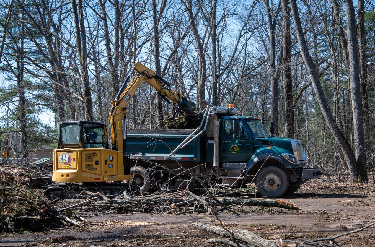 What's Next for Michigan Forests After the Historic Ice Storm?
