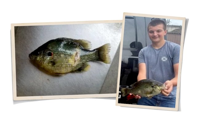 Missouri Teen Sets New Alternative Method Redear Sunfish Record