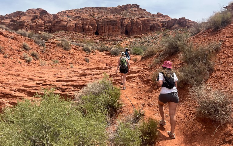 Camping and Hiking Markdowns at REI: Up to 50% Off | Outdoor Life