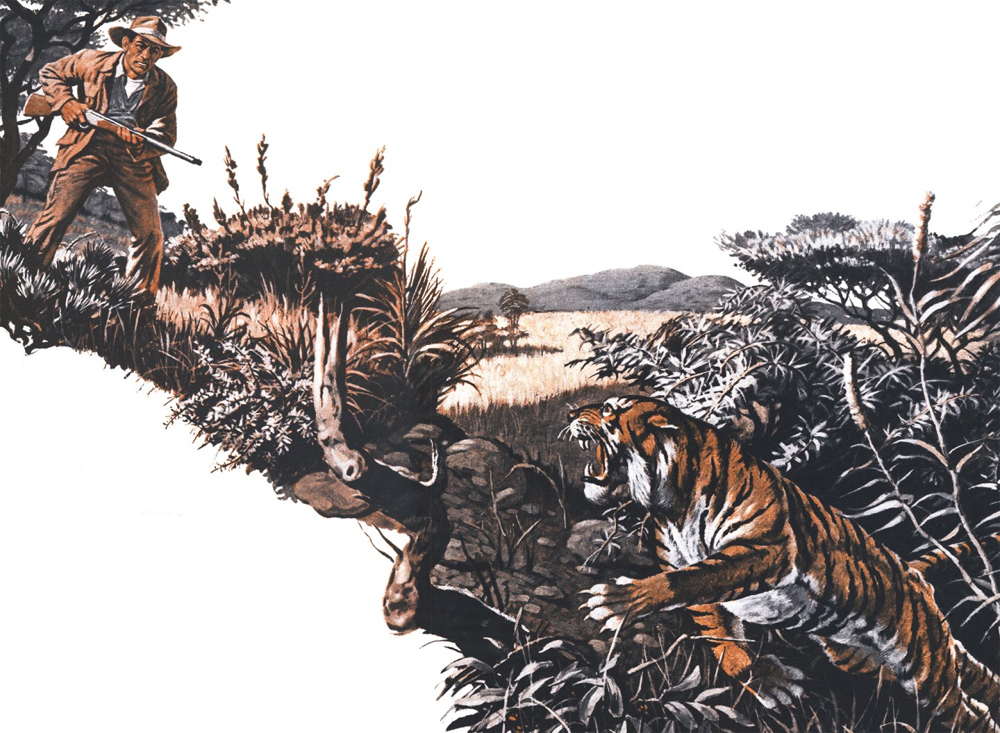 Tracking a Livestock-Killing Tiger in India