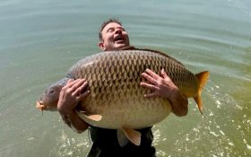 Common Carp Caught in Hungary Is World-Record Size