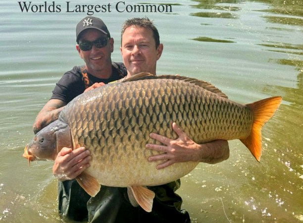 Common Carp Caught in Hungary Is World-Record Size
