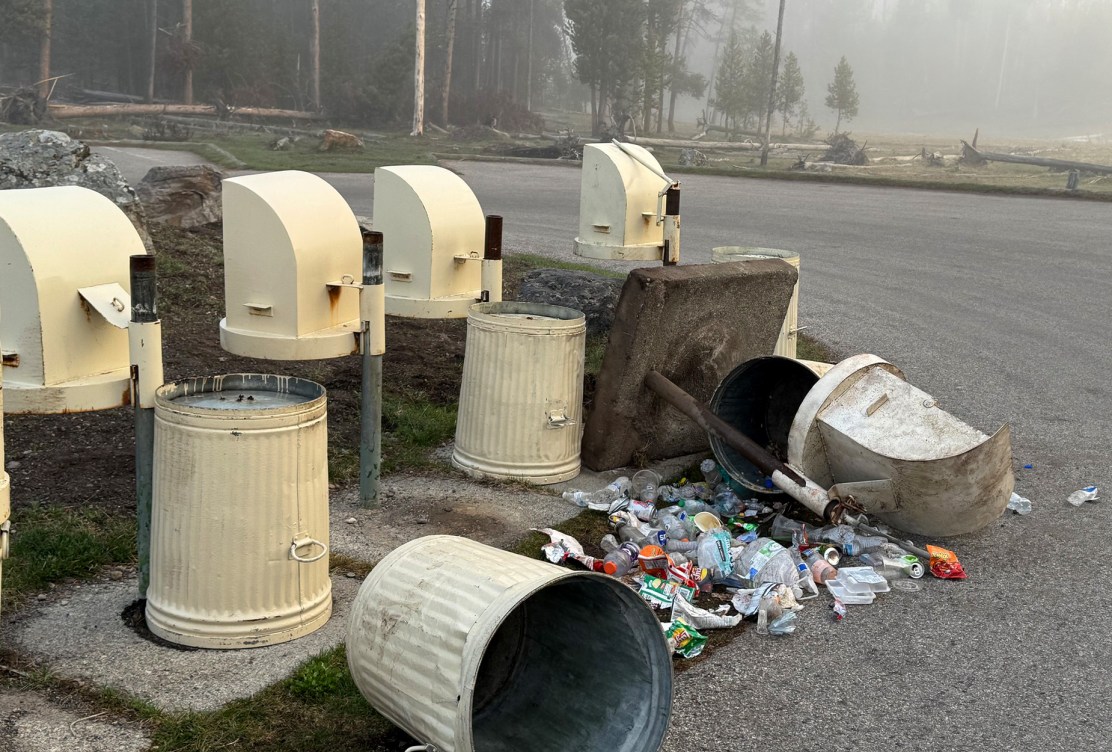 Yellowstone Officials Kill Grizzly Bear That Was Flipping Over 800 ...