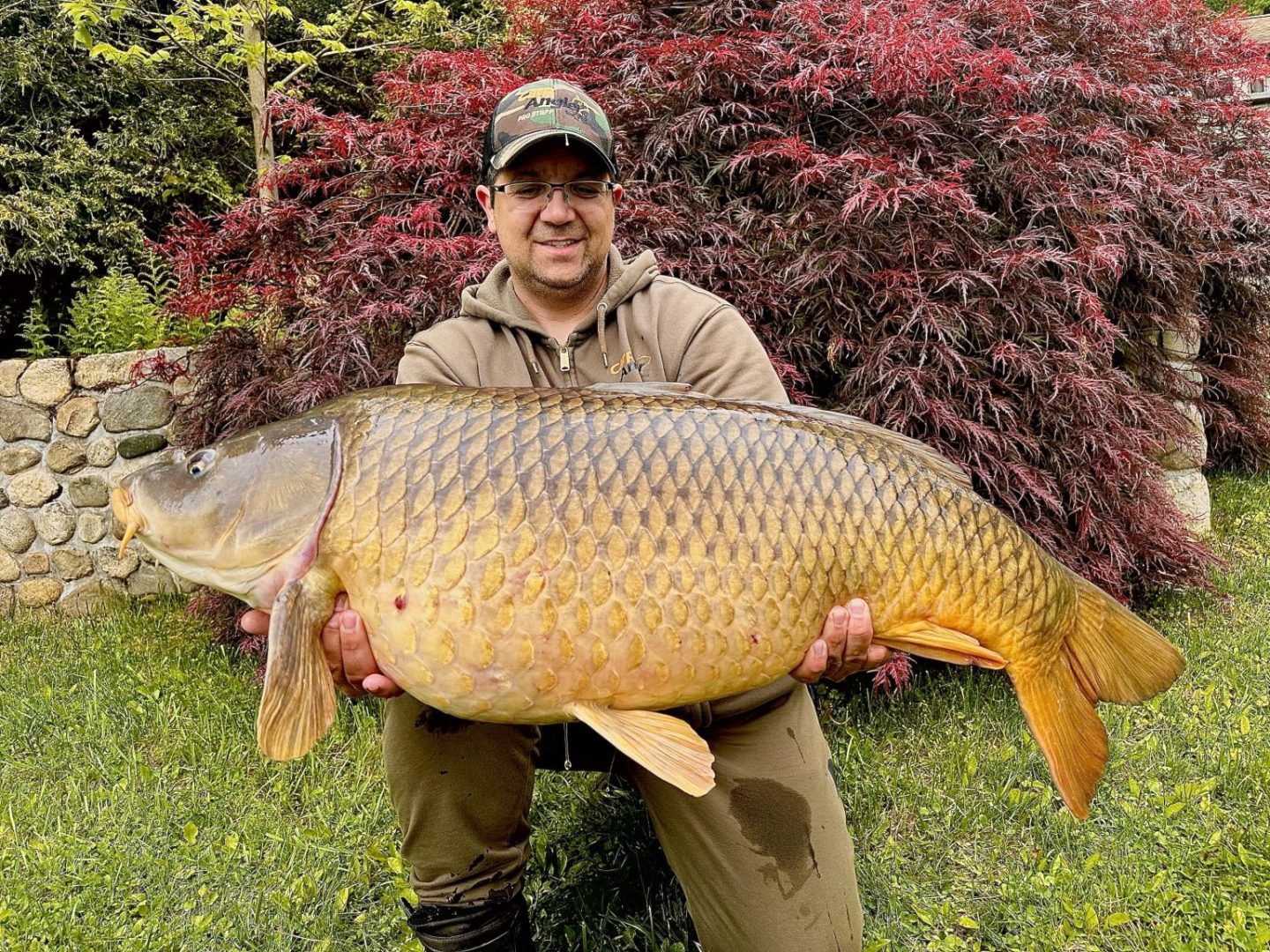 Record Carp Is the Biggest Freshwater Fish Ever Caught in Connecticut
