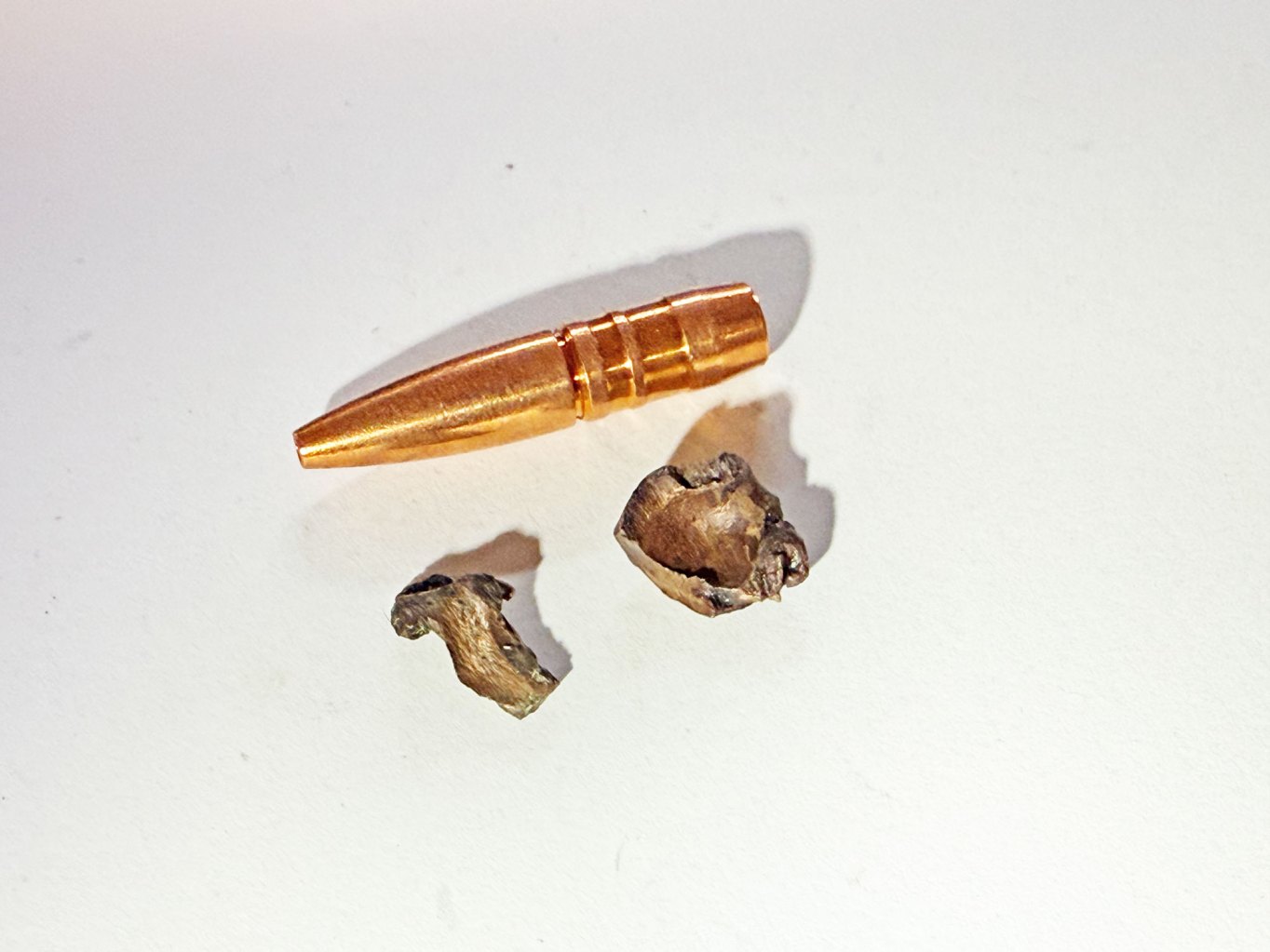 McGuire Ballistics Copper Rose Bullets Produce Better BCs and ...