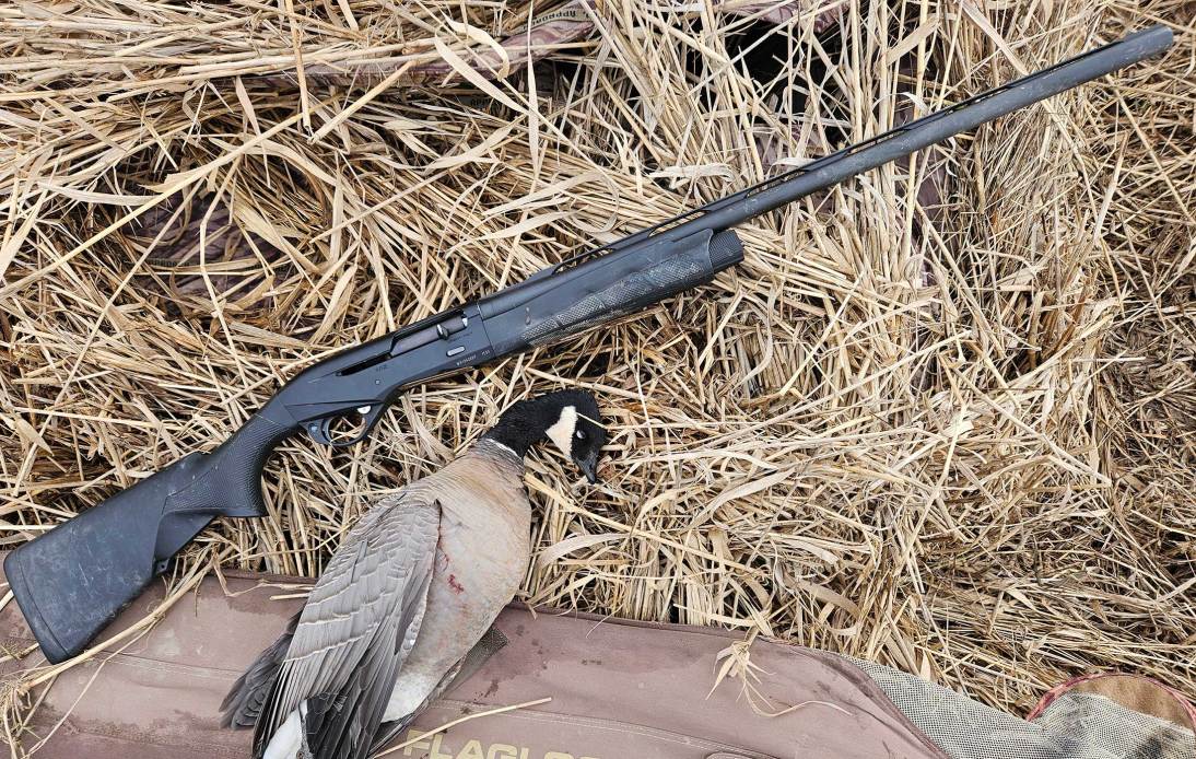 Benelli M2 Shotgun Review: The Ultimate Mid-Priced Semiauto | Outdoor Life