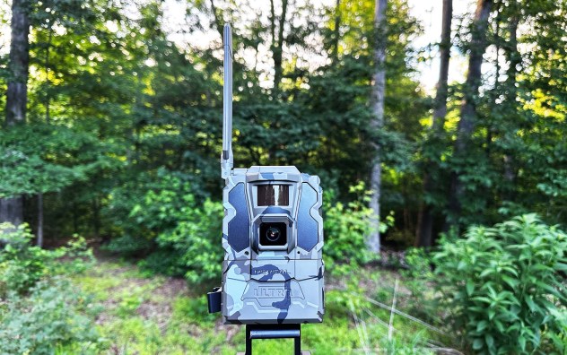 The Best Cellular Trail Cameras, Tested and Reviewed