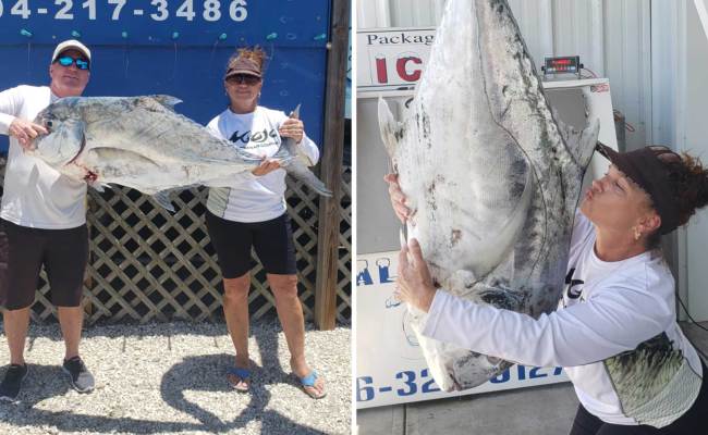 "The Whole Thing was a Miracle." Florida Woman Lands Potential Record ...