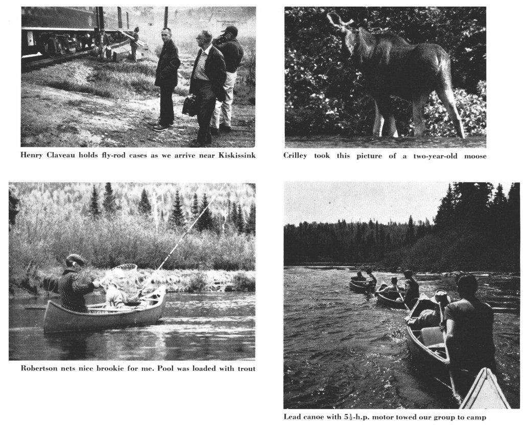 My Buddies and I Caught 500 Wild Trout in 3 Days on an Old-Fashioned ...
