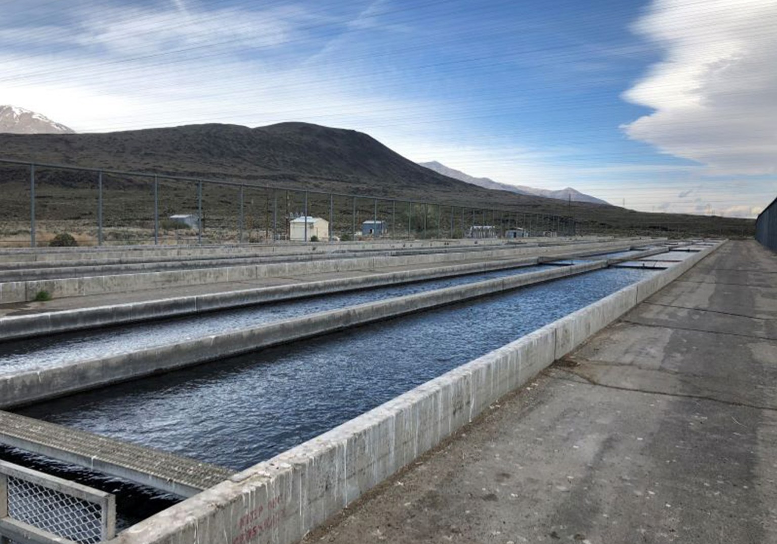 Fish Kill at California Fish Hatchery Will Impact Stockings for Years ...