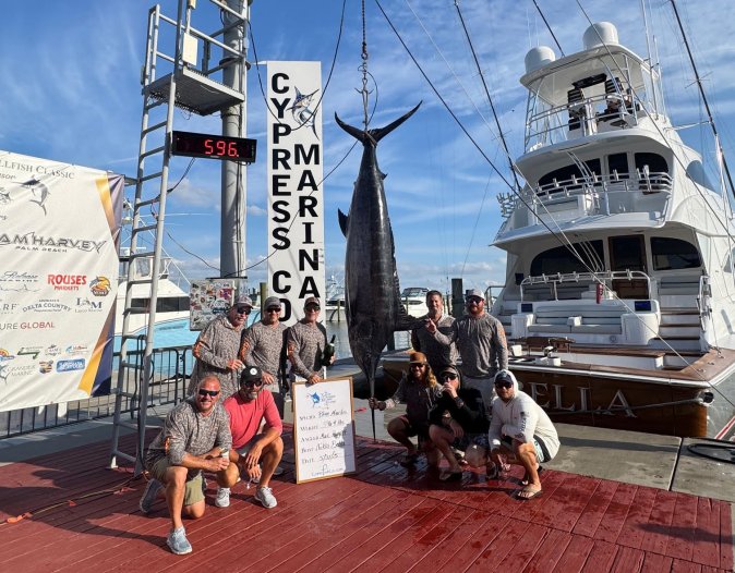 Tagged Yellowfin Tuna Recovered Inside a Blue Marlin