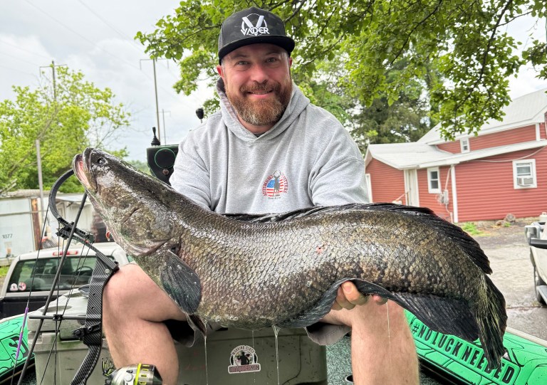 This Giant Snakehead Was Just Declared a New World Record. It Was ...