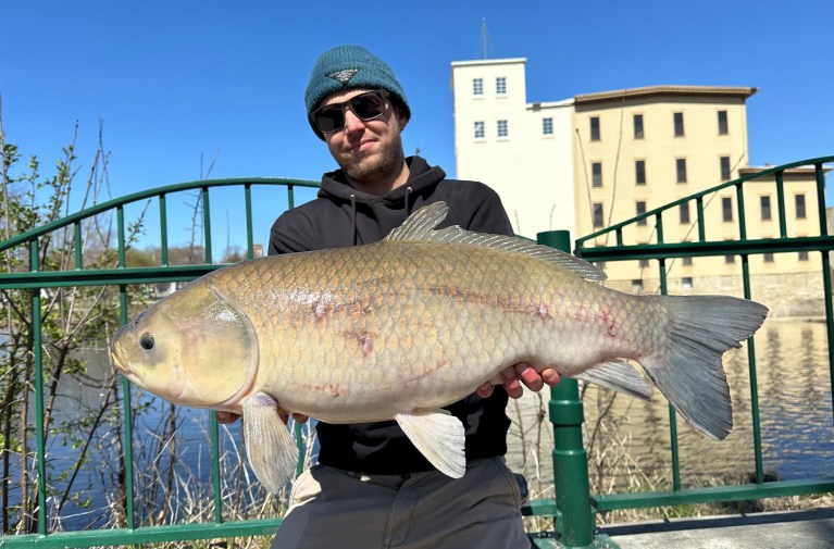 ND Angler Breaks 40-Year Record With Giant Missouri River Fish