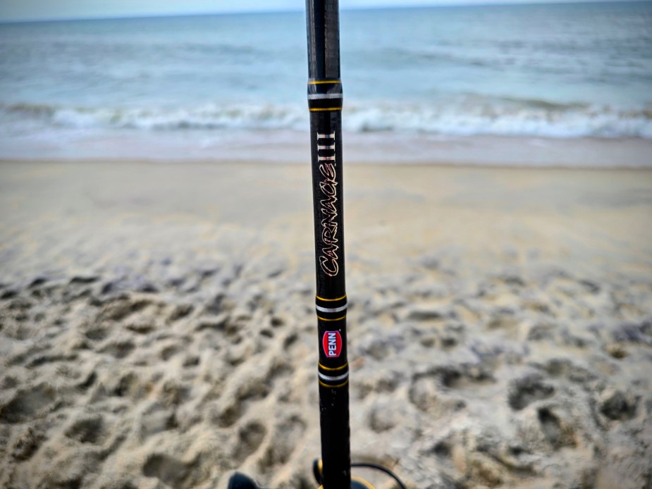 Best Surf Fishing Rods of 2025 | Outdoor Life