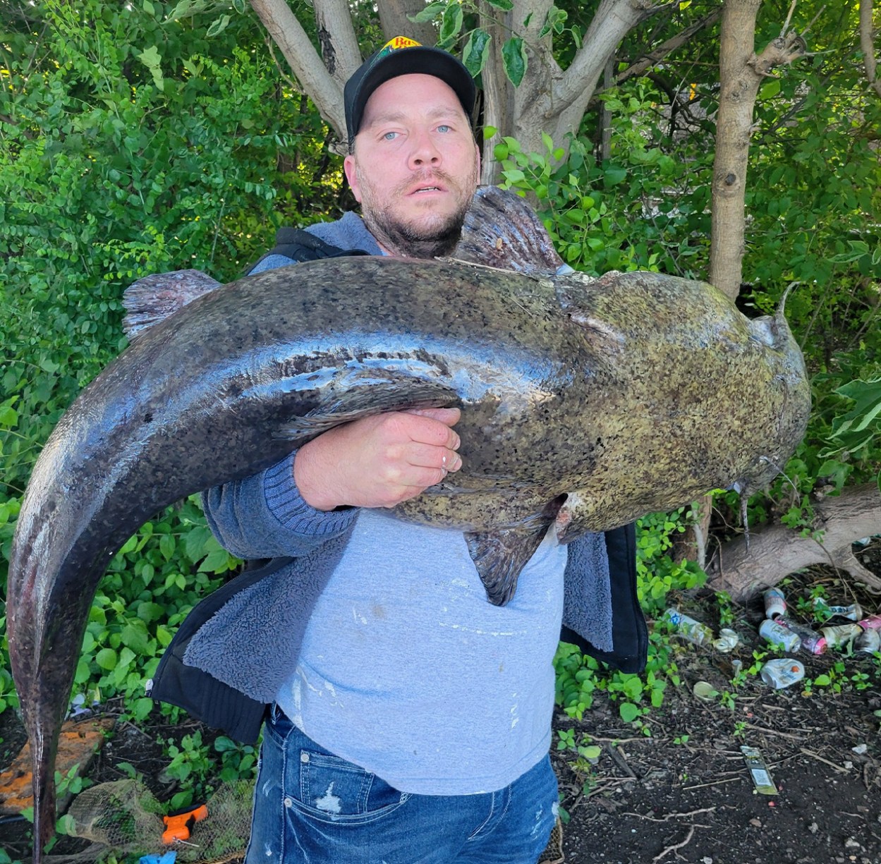 Philly Fisherman Catches Huge Flathead Catfish